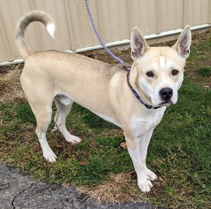 Cotter – WLKM Radio 95.9 FM