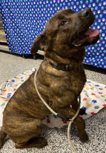 Remi – WLKM Radio 95.9 FM